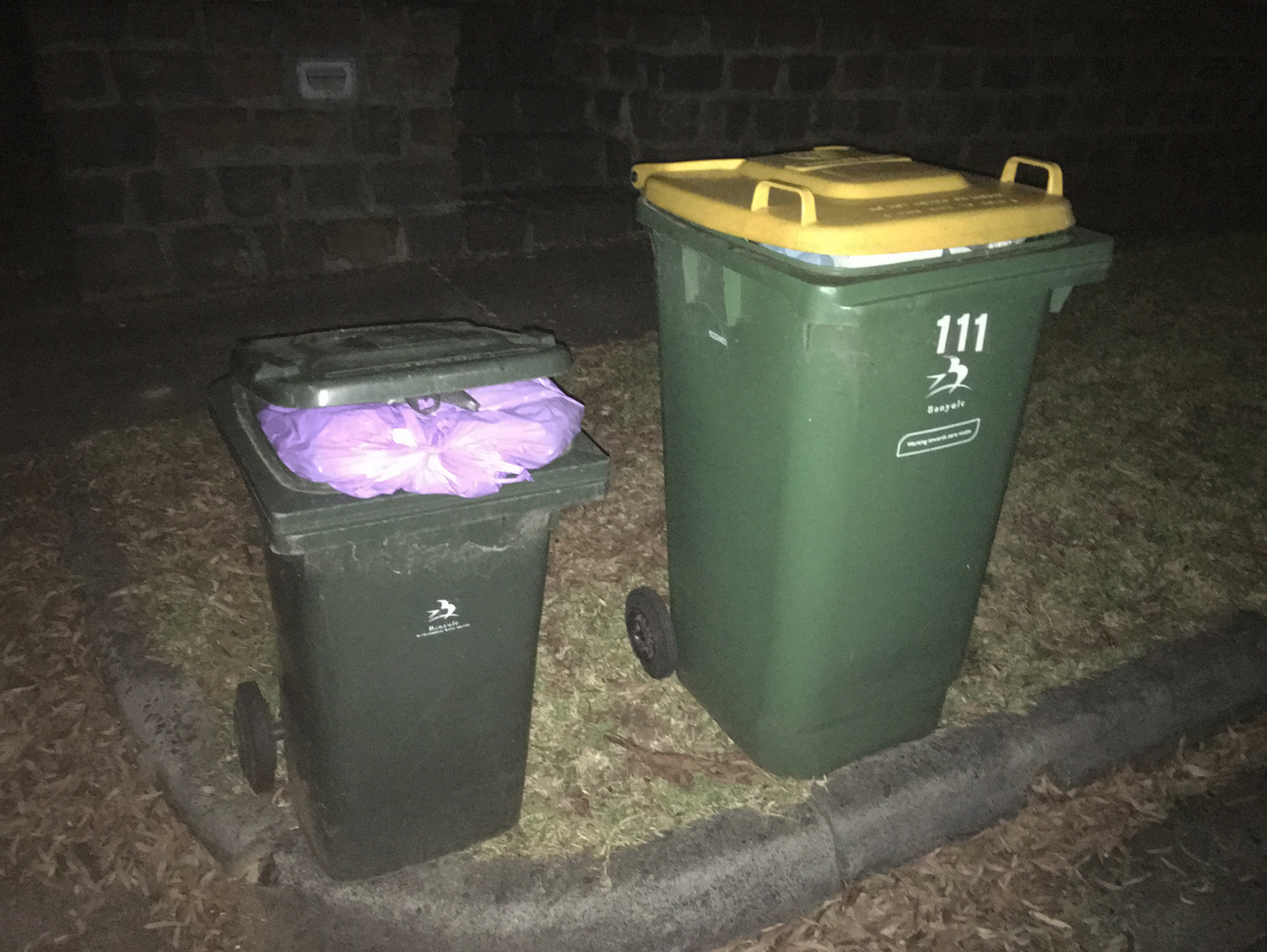 Watsonia man’s obsession with the fill level of his bins deemed ...