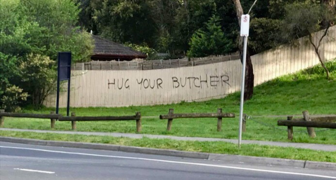 Megan credits butcher in latest strike – The Watsonia Bugle