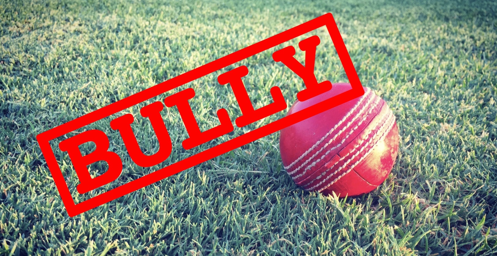Local cricketer accused of bullying after showing no mercy to 12-year ...