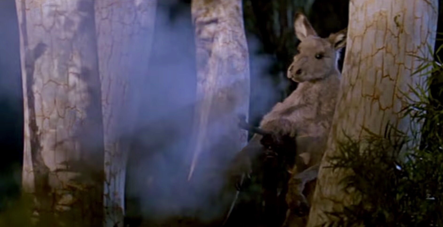 Gun-wielding kangaroo from Crocodile Dundee summoned to deal with ...