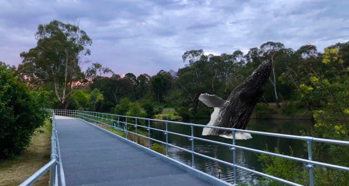 New viewing platform built at Kalparrin Lake so locals can catch ...